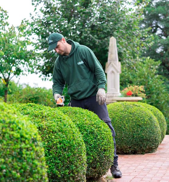 Commercial Landscaping London | Fantastic Services