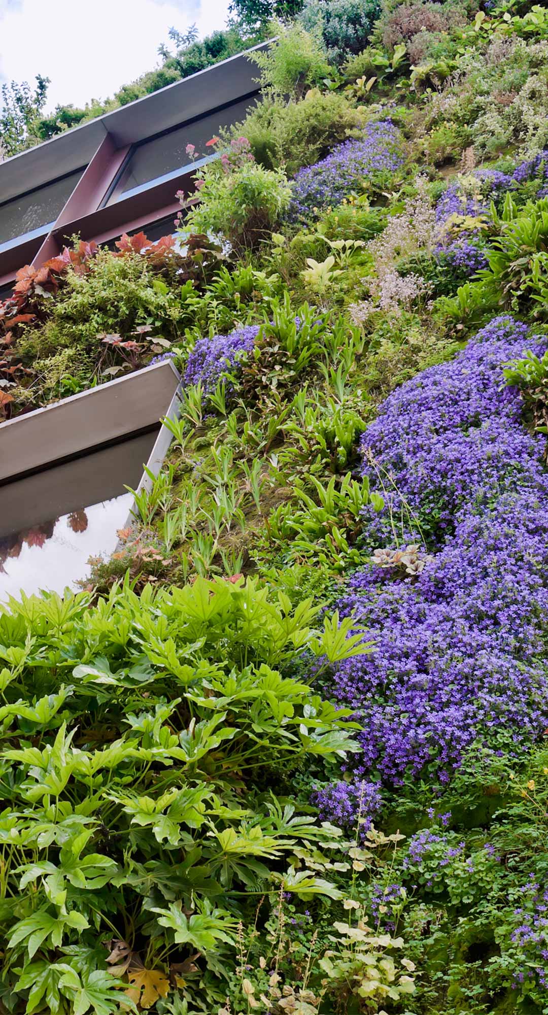 Green Wall Installation | Fantastic Services for Business London