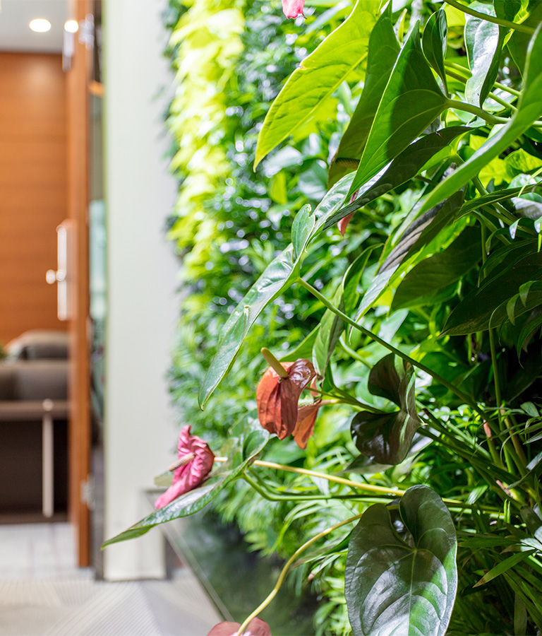 Green Wall Installation | Fantastic Services for Business London
