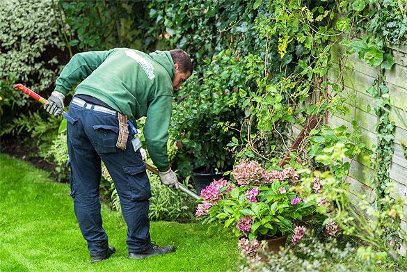 Fantastic Services: Keep a Garden Intact with PRO Garden Maintenance in ...