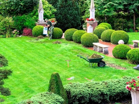 Fantastic Services in London: Lawn Care Service | Mowing & Aesthetic ...